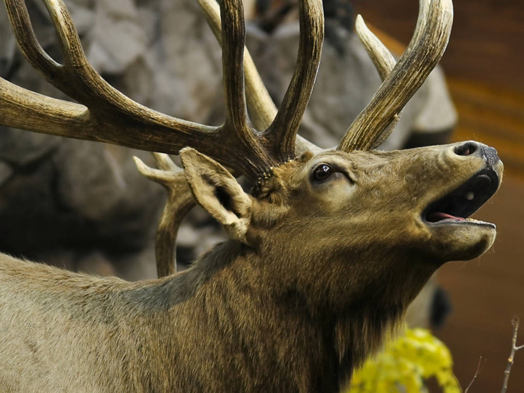 Quirkiest Museums in NYC Including the Math and Food Museums