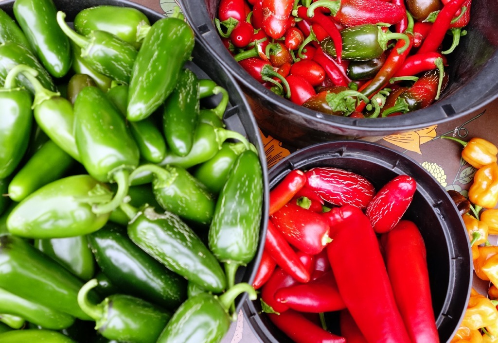The Festival of Heat: London Chilli Festival | Things to do in London