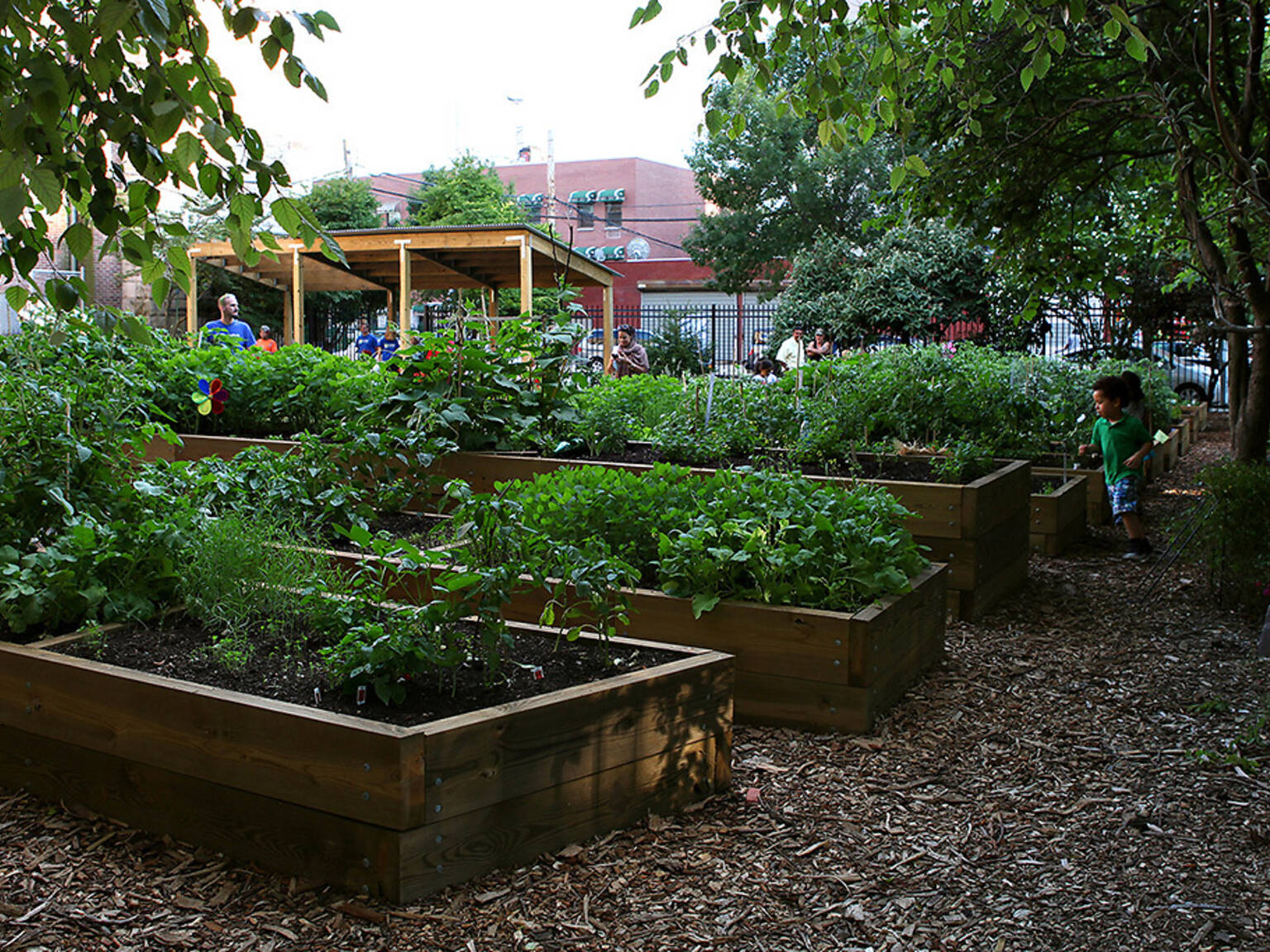 Best community gardens in NYC from city farms to rooftop gardens