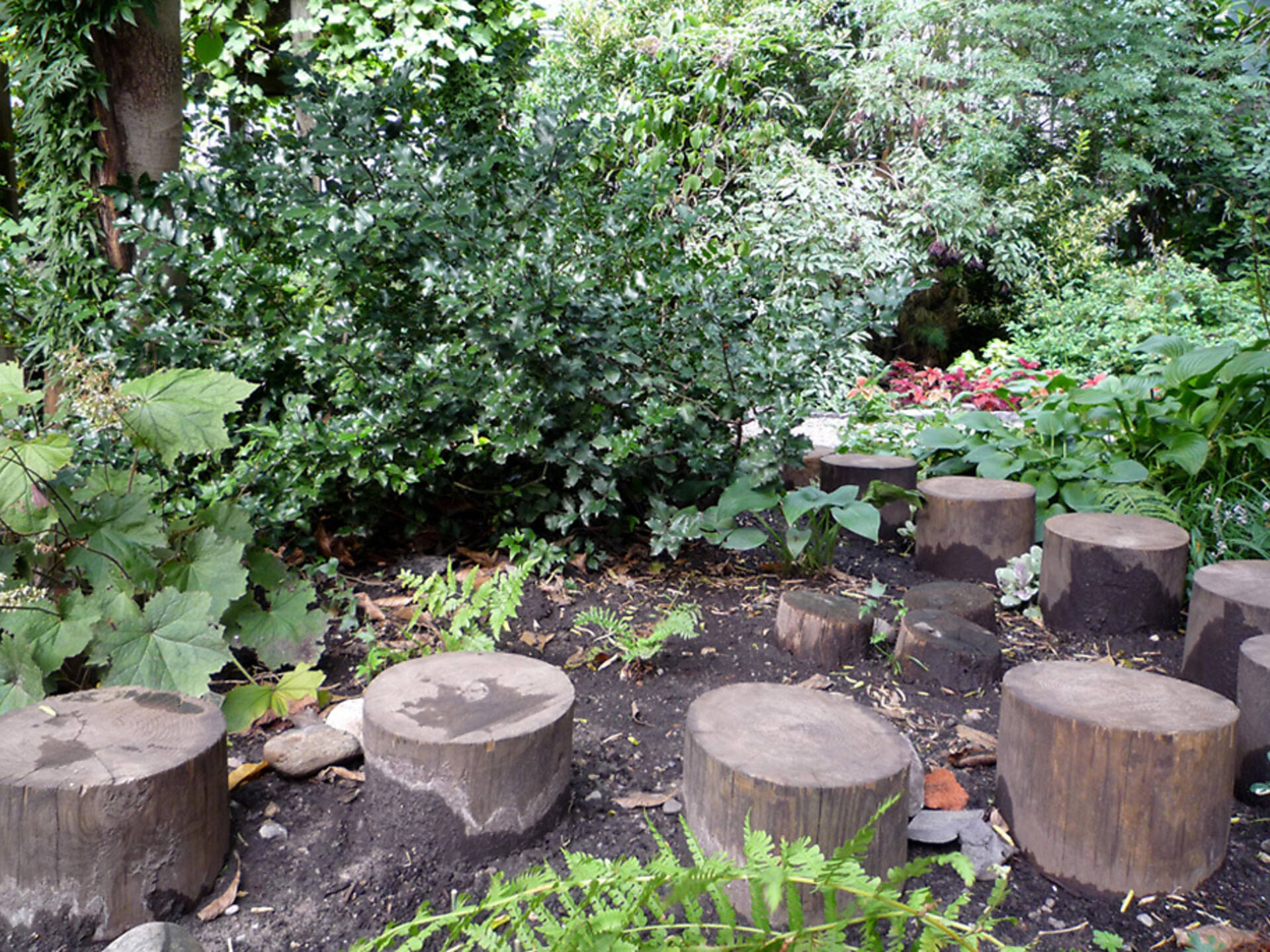 Best community gardens in NYC from city farms to rooftop gardens