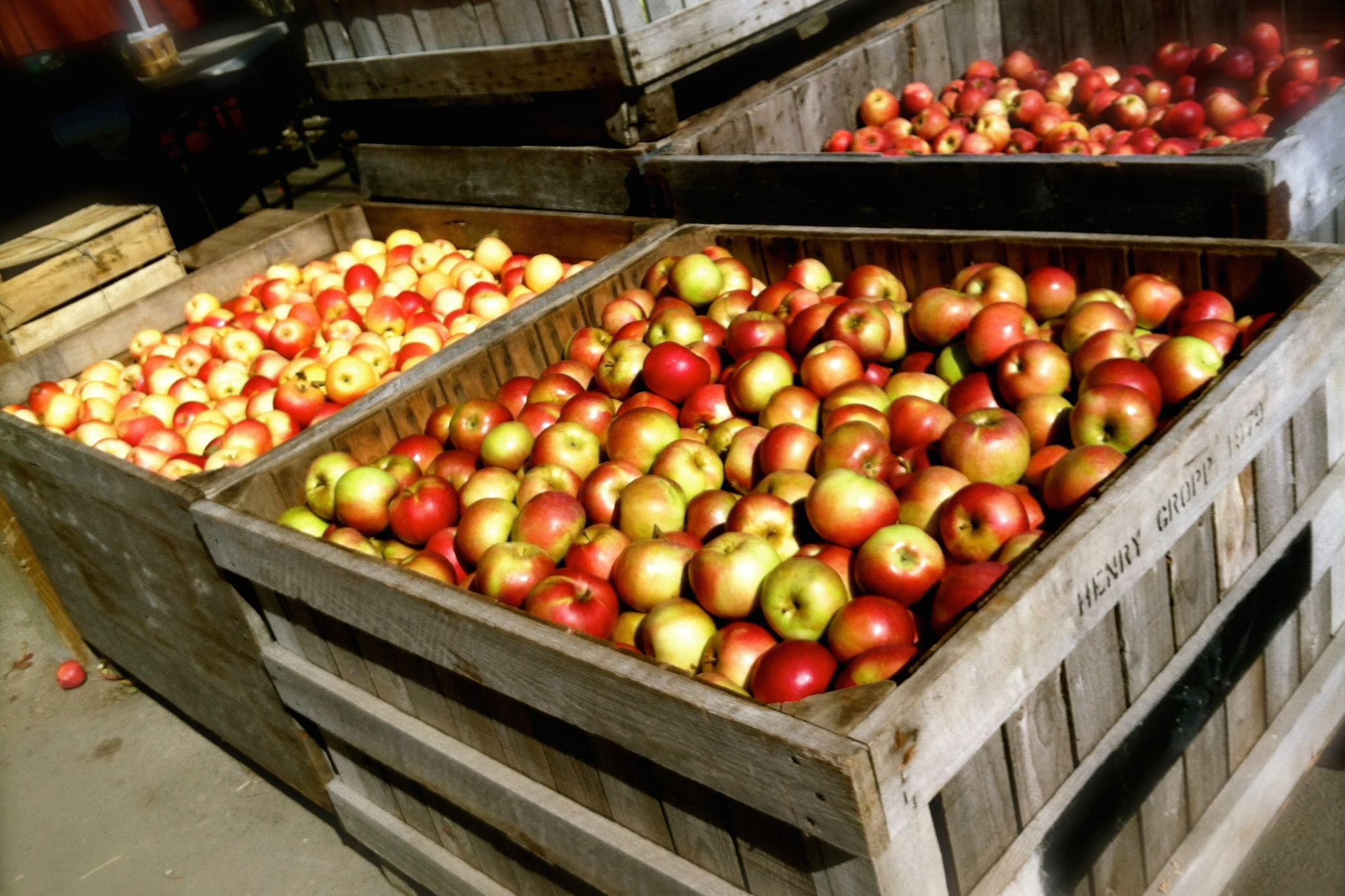 Pennings Farm | Shopping in New York