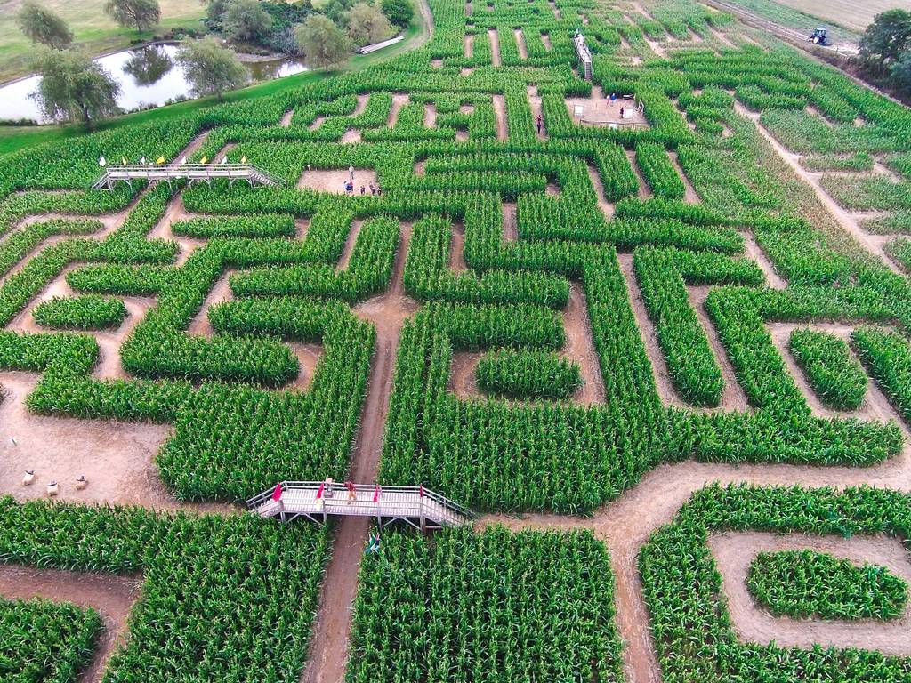 12 Best Corn Mazes Near NYC