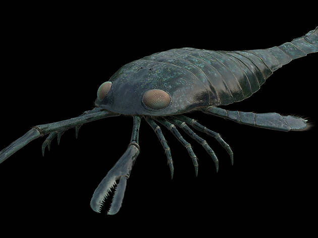 Leaps in Evolution | Museums in Tokyo