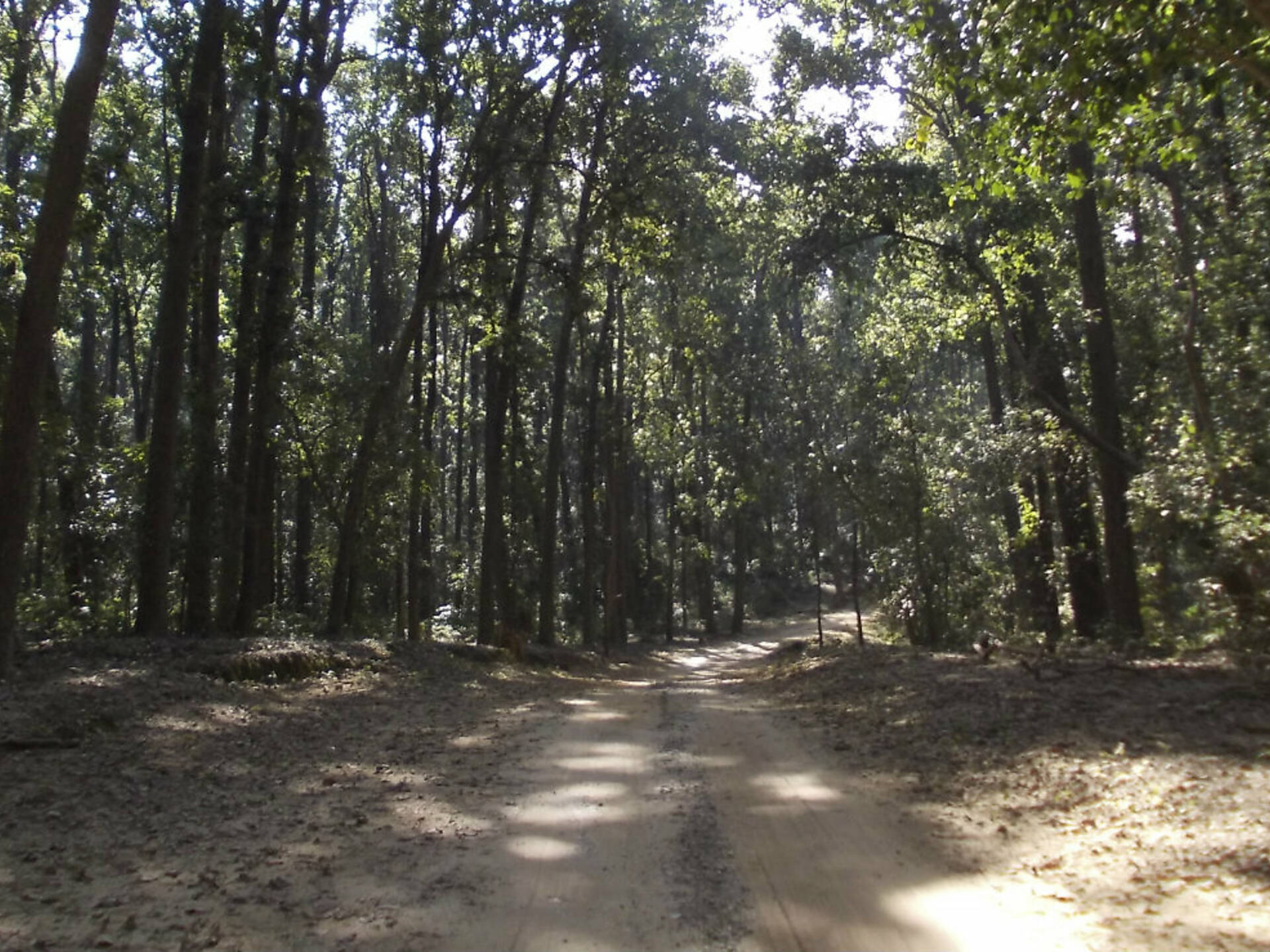 Parques Nacionales en la Ciudad de México