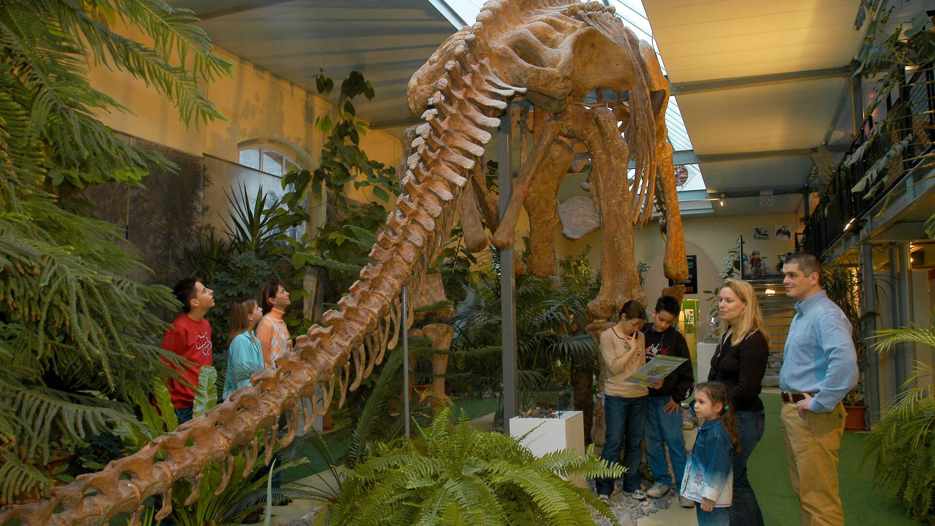 Aathal Dinosaur Museum | Museums in Uster, Switzerland
