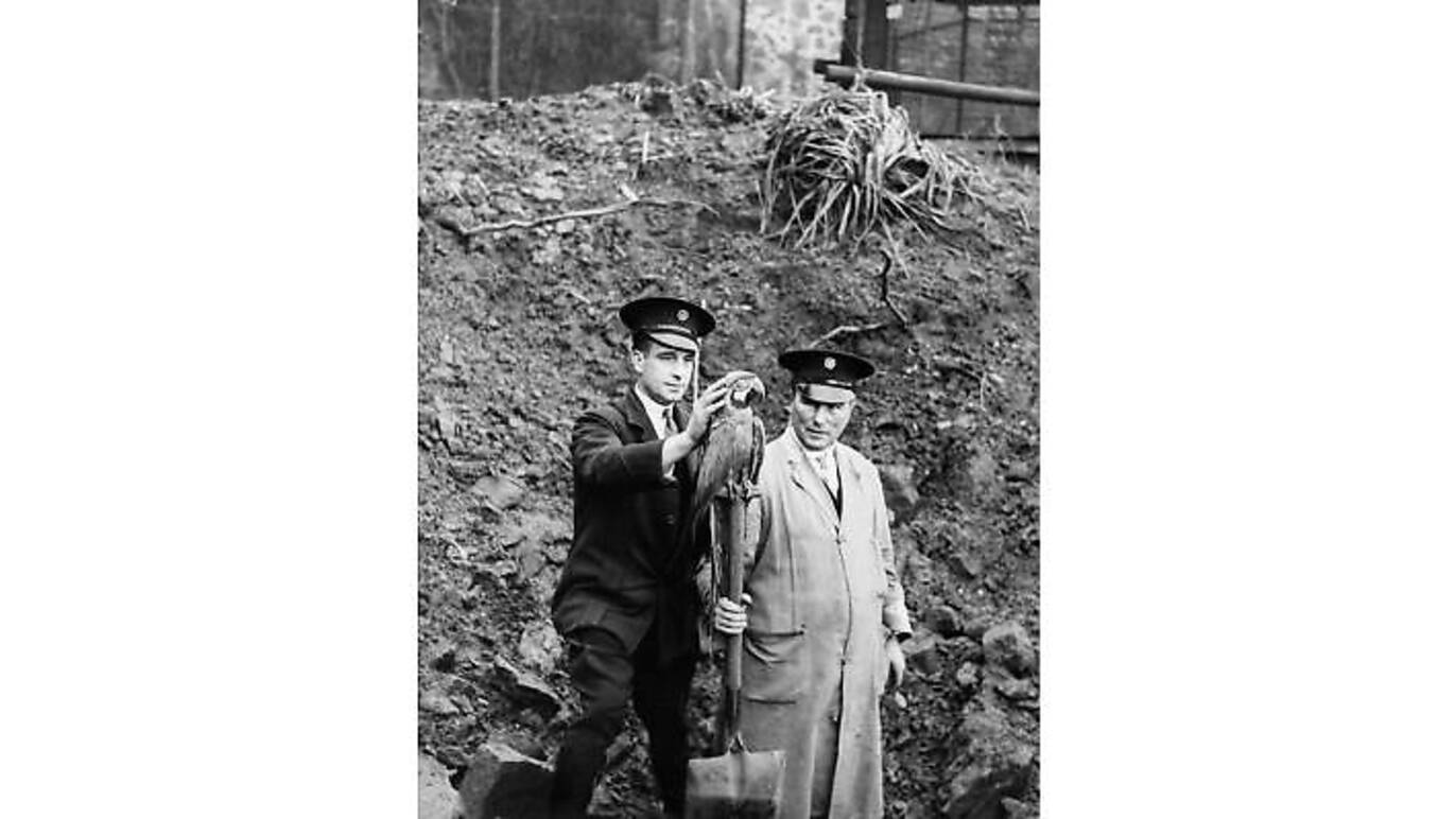 Photos of London during the Blitz | Second World War pictures