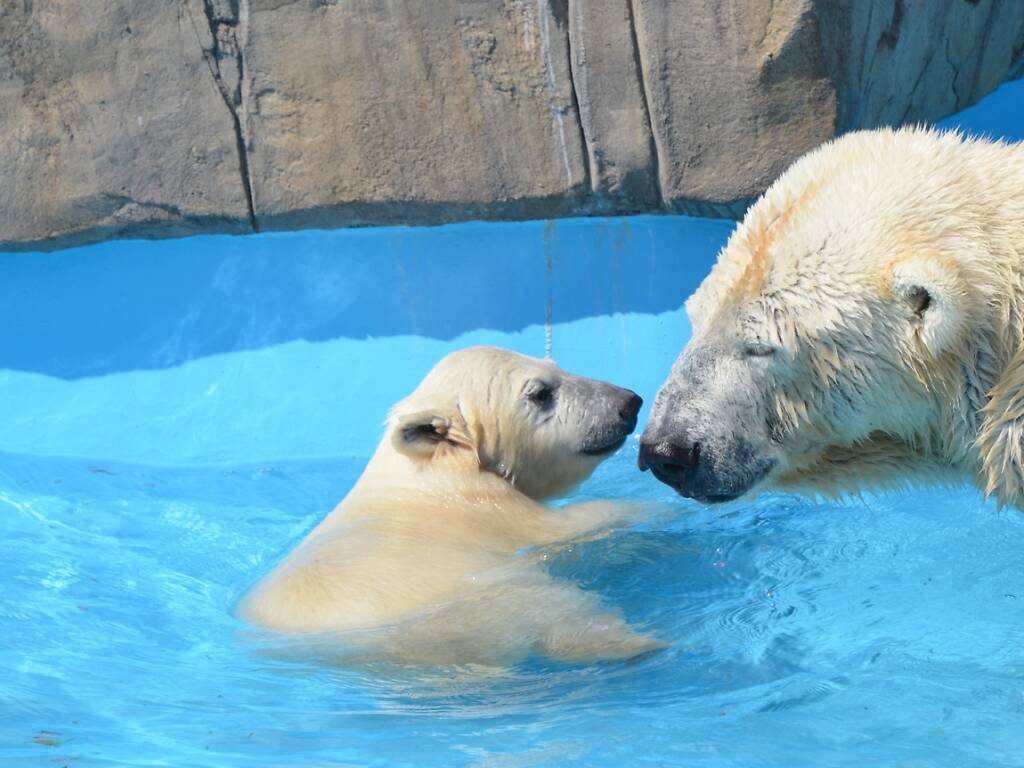 50 things to do in Sapporo | Time Out Tokyo