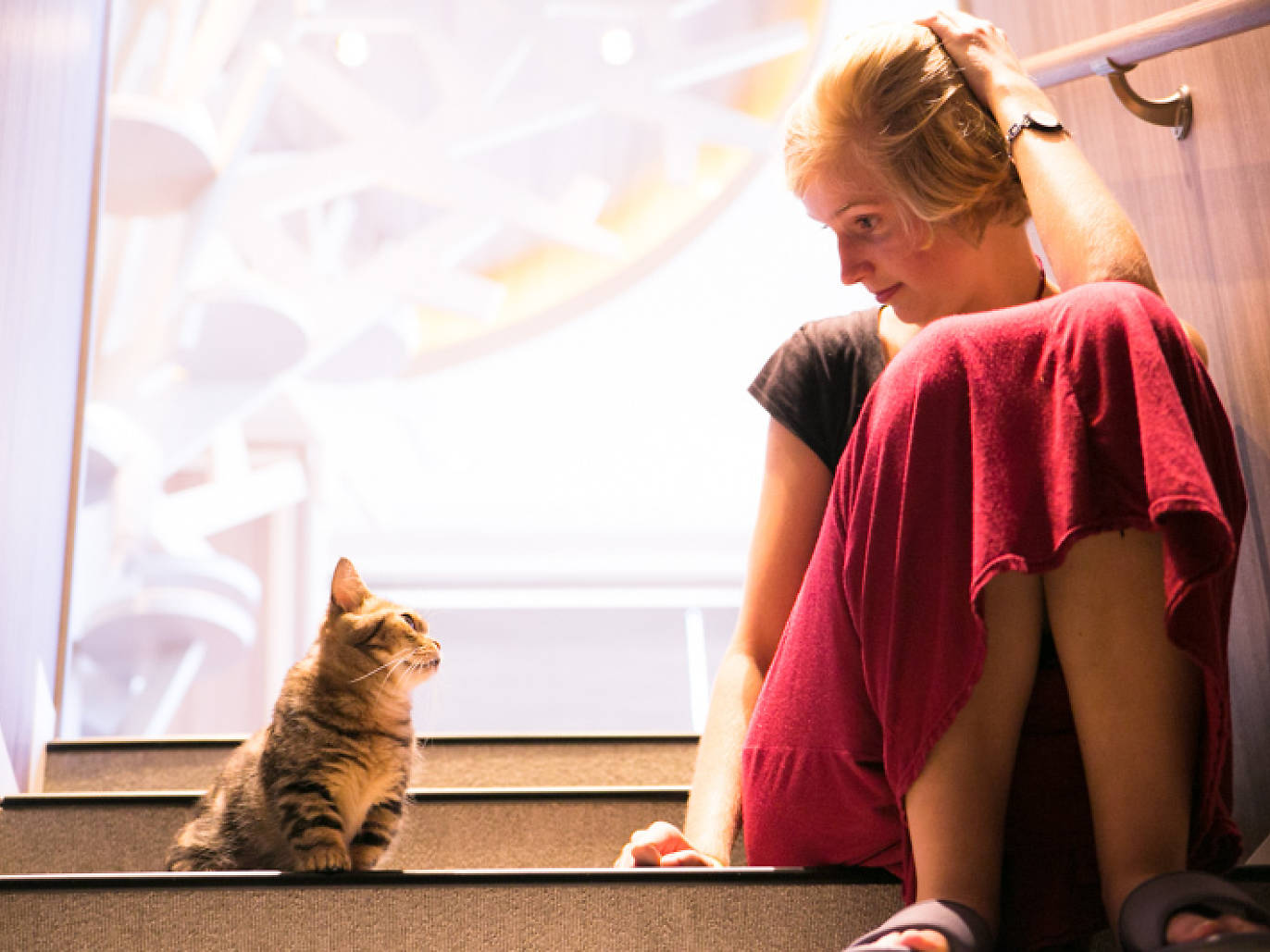 10 best animal and pet cafés in Tokyo