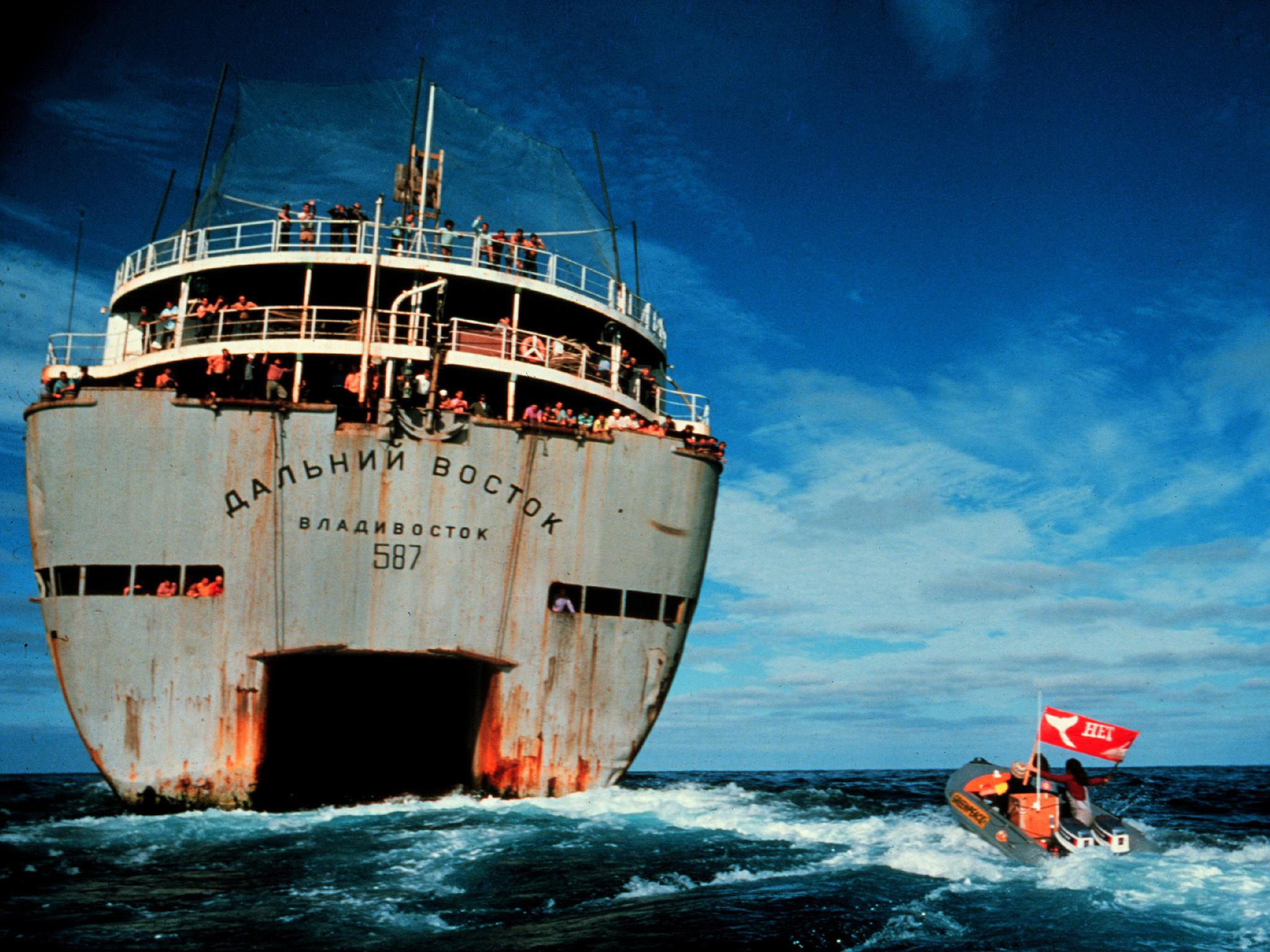 How to Change the World 2015, directed by Jerry Rothwell | Film review