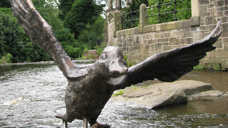 22 eye-catching pictures of Edinburgh's animal kingdom