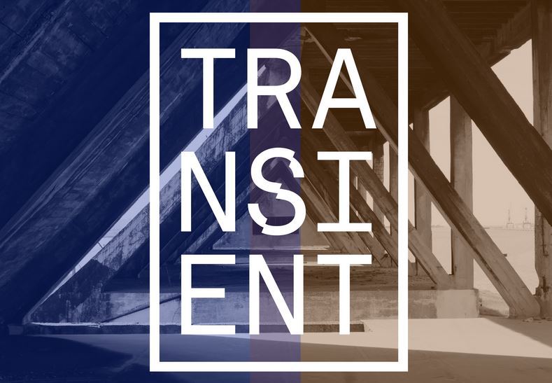 Transient Festival 2015 : interview de l'organisateur