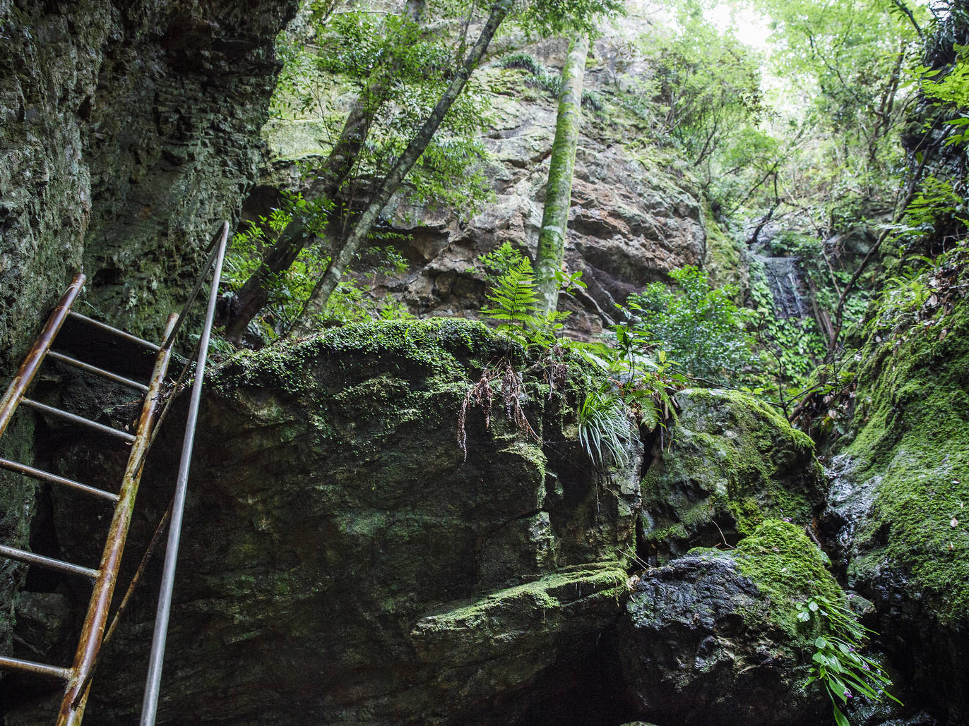 50 things to do in Ise-Shima | Time Out Tokyo