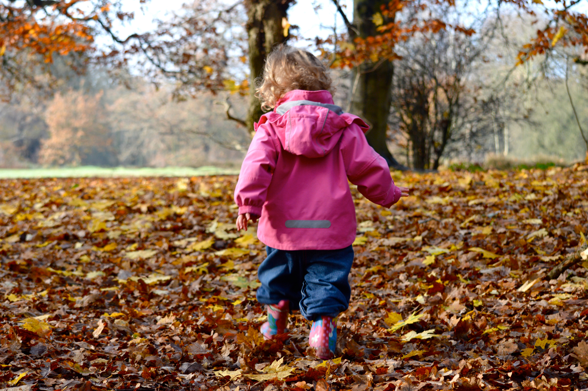 Seven ways for kids to go wild in London - Time Out Lodnon