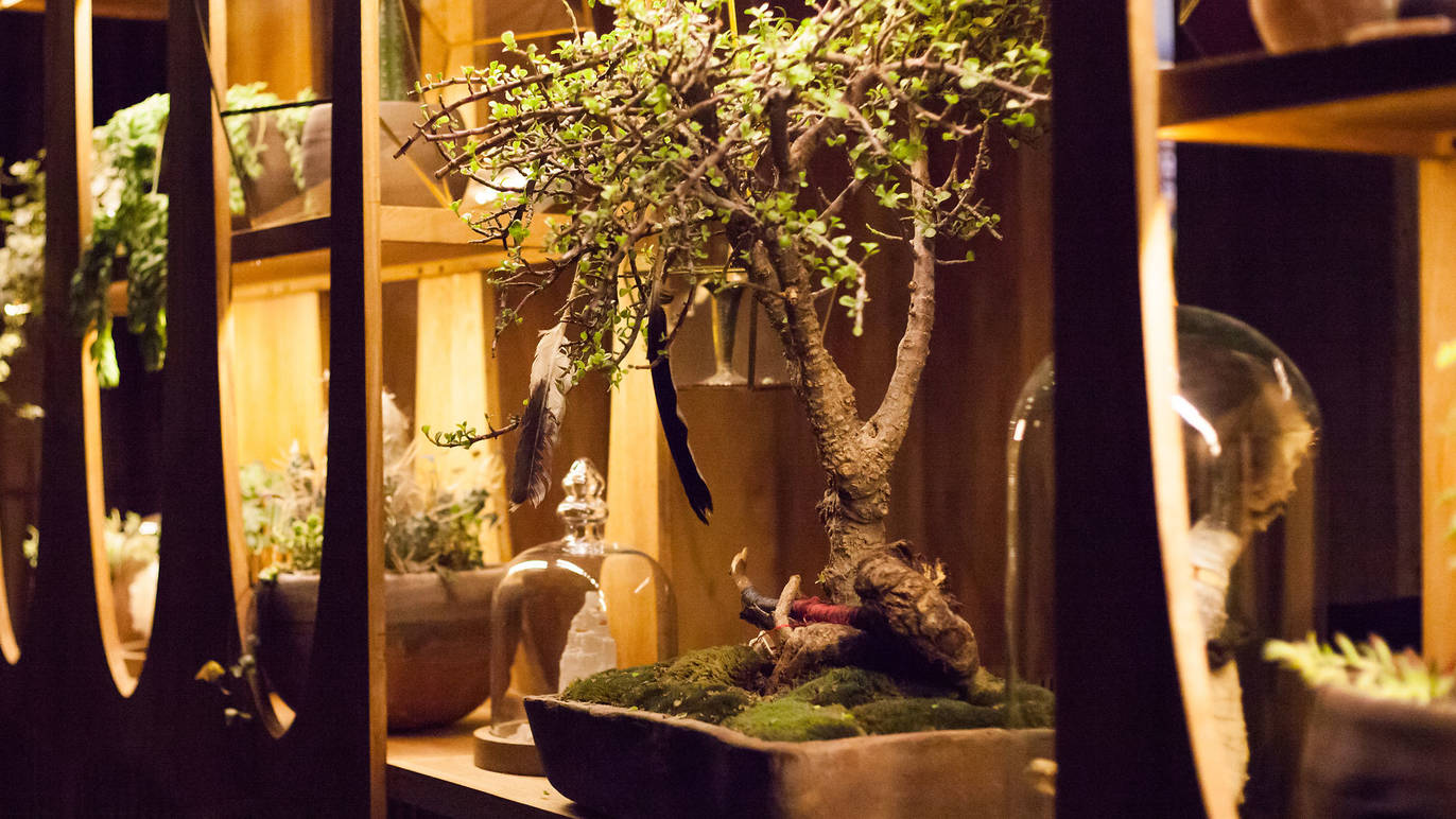 Xaman Bar | Bars in Zona Rosa, Mexico City