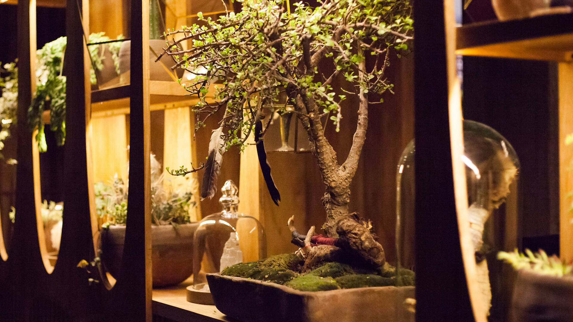 Xaman Bar | Bars in Zona Rosa, Mexico City