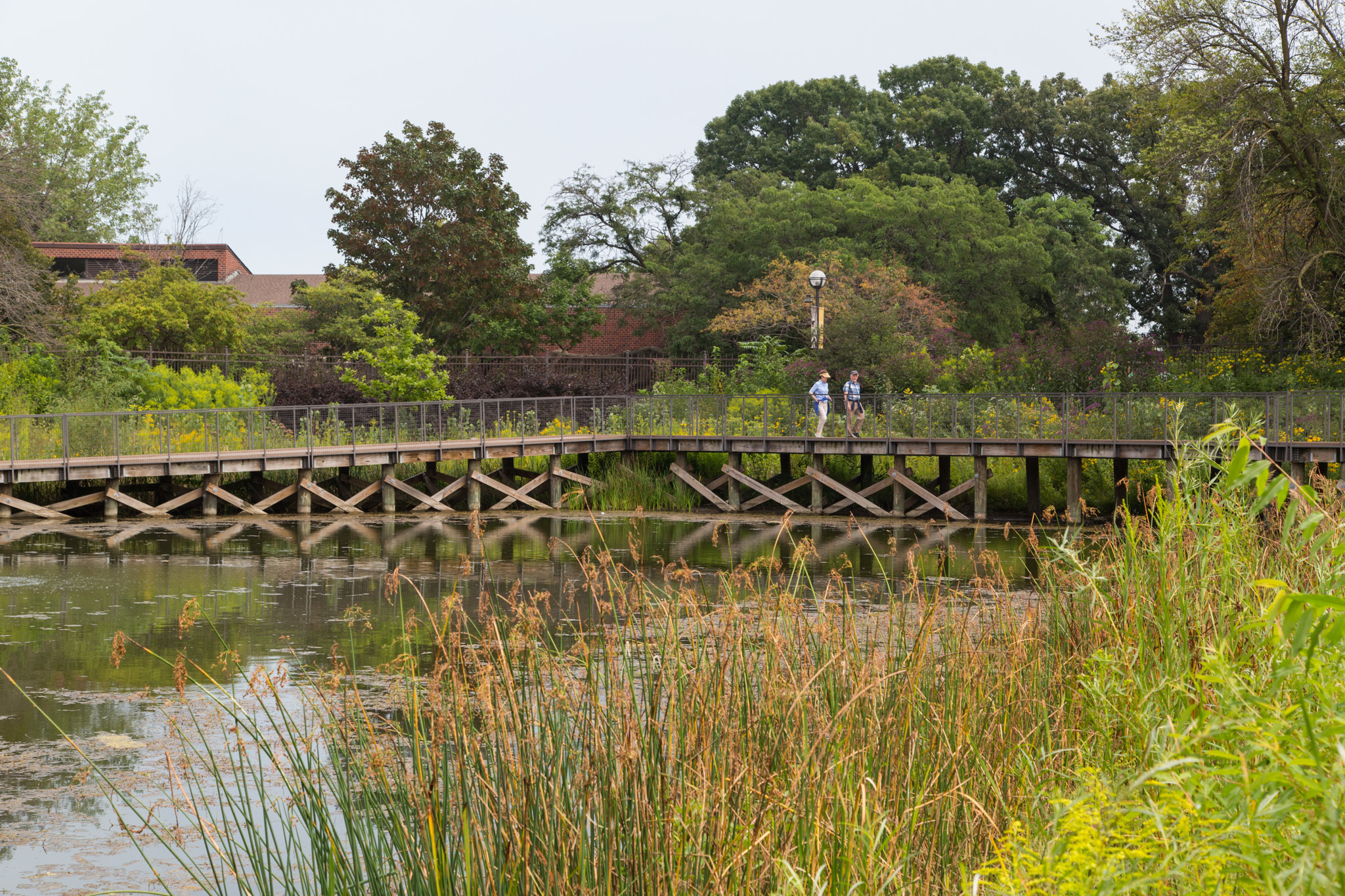 How to spend an amazing weekend in Lincoln Park