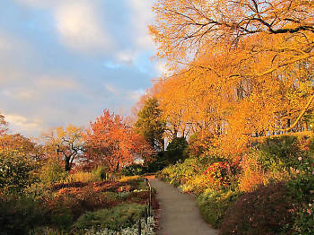 New York fall foliage and leaf-peeping guide for families