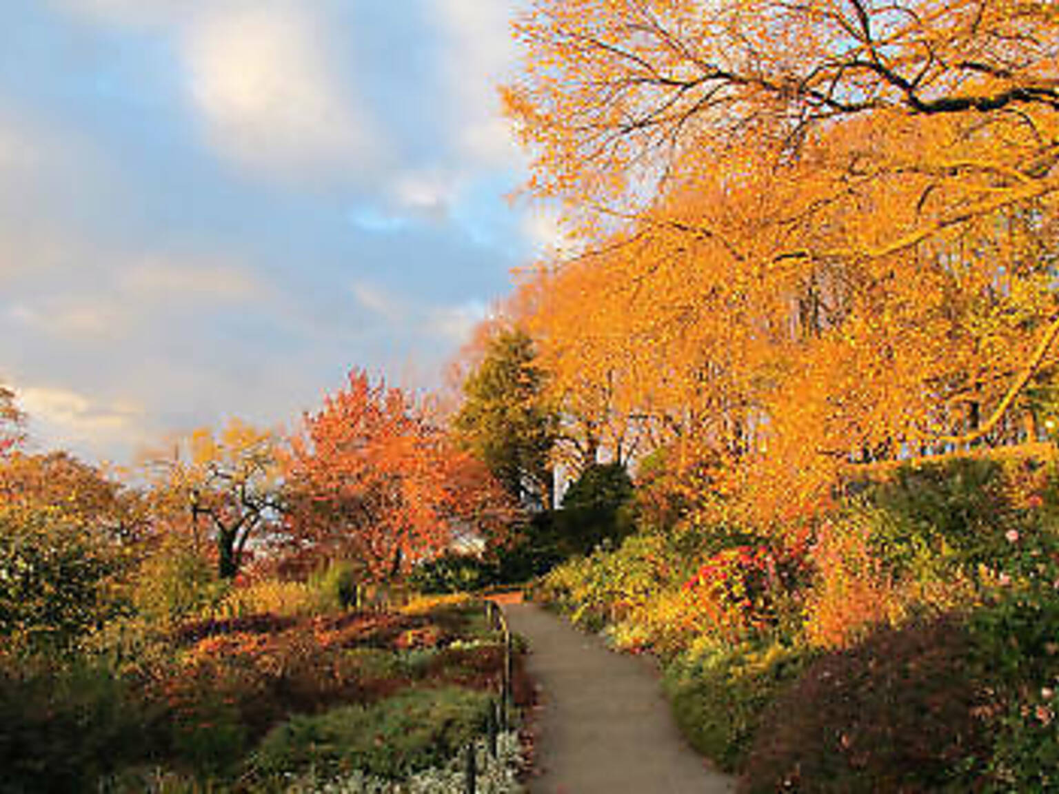 New York fall foliage and leaf-peeping guide for families