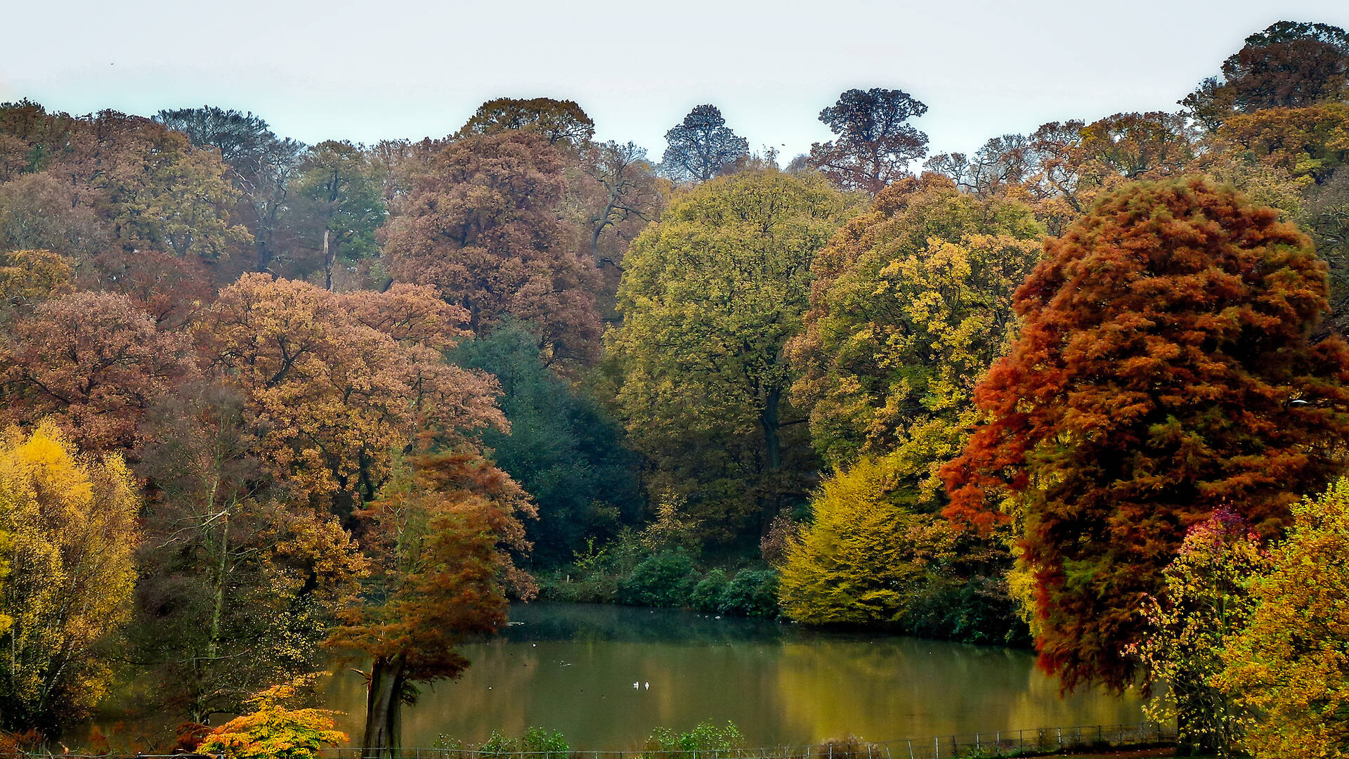32 cosy photos of autumn in London