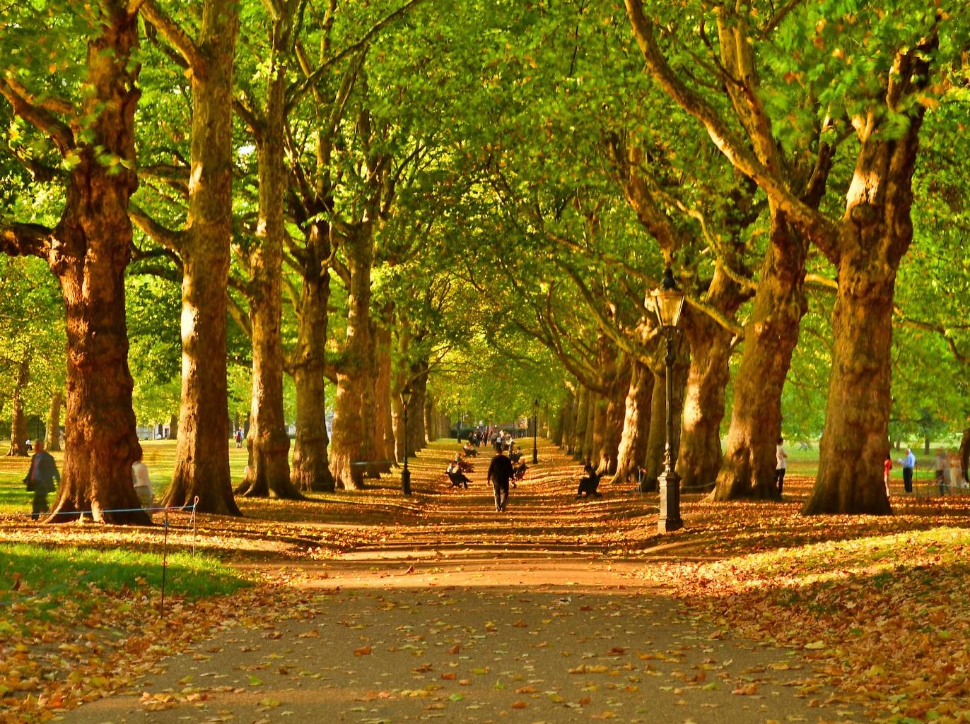 10 Perfect Autumnal Days Out in London