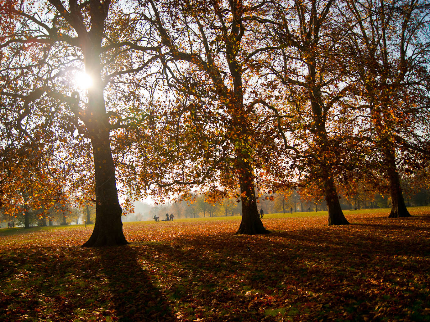 Brilliant Events and Things To Do In London In October 2025 – Time Out ...
