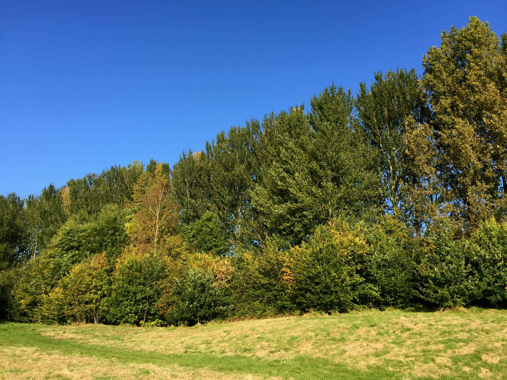 15 photographs of the start of Autumn in Manchester