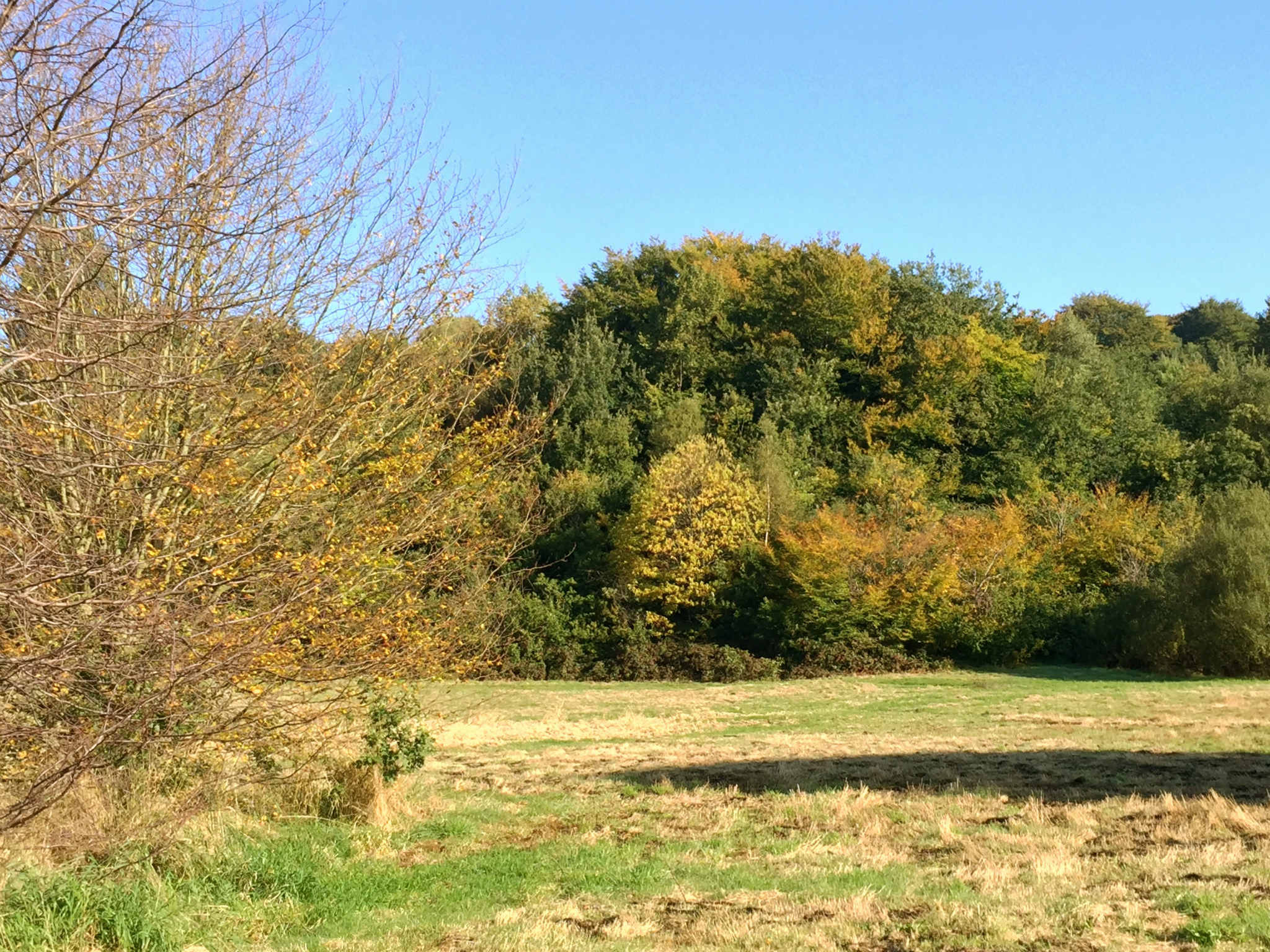 15 photographs of the start of Autumn in Manchester