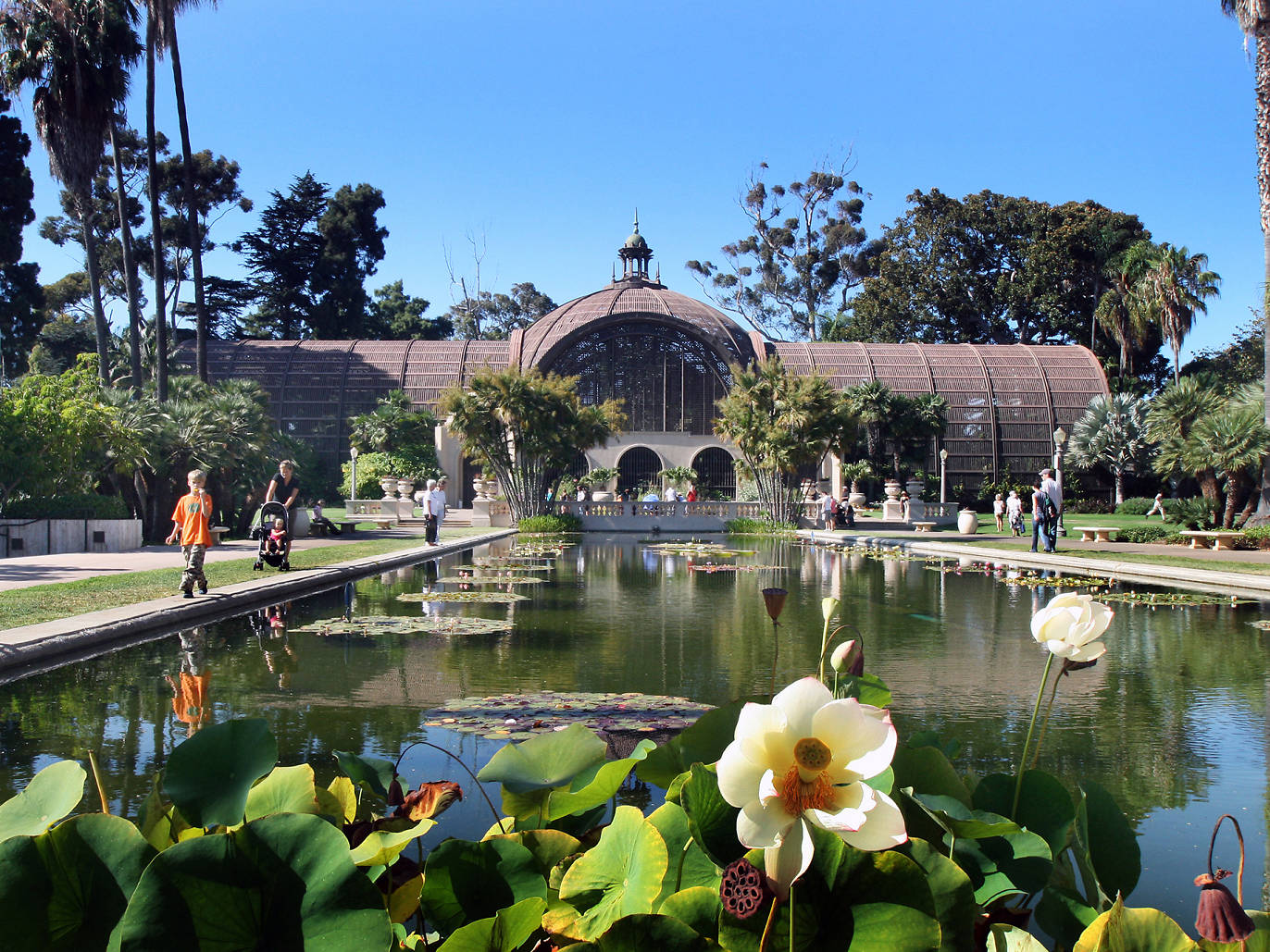 21 Best Things to Do in San Diego, Picked By Local Writers