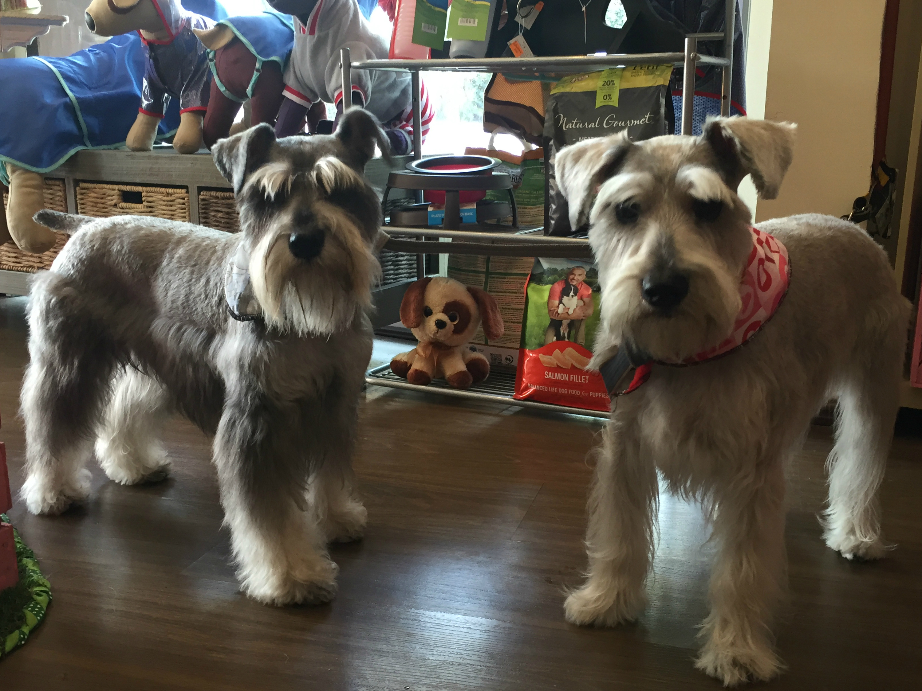 Firulais Holistic Petshop