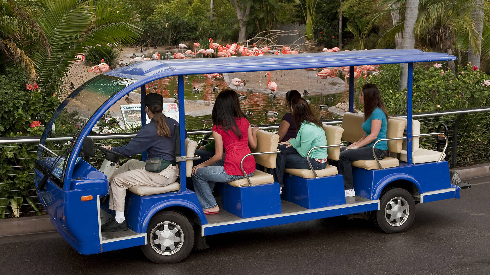 San Diego Zoo | Attractions in Park Laurel, San Diego