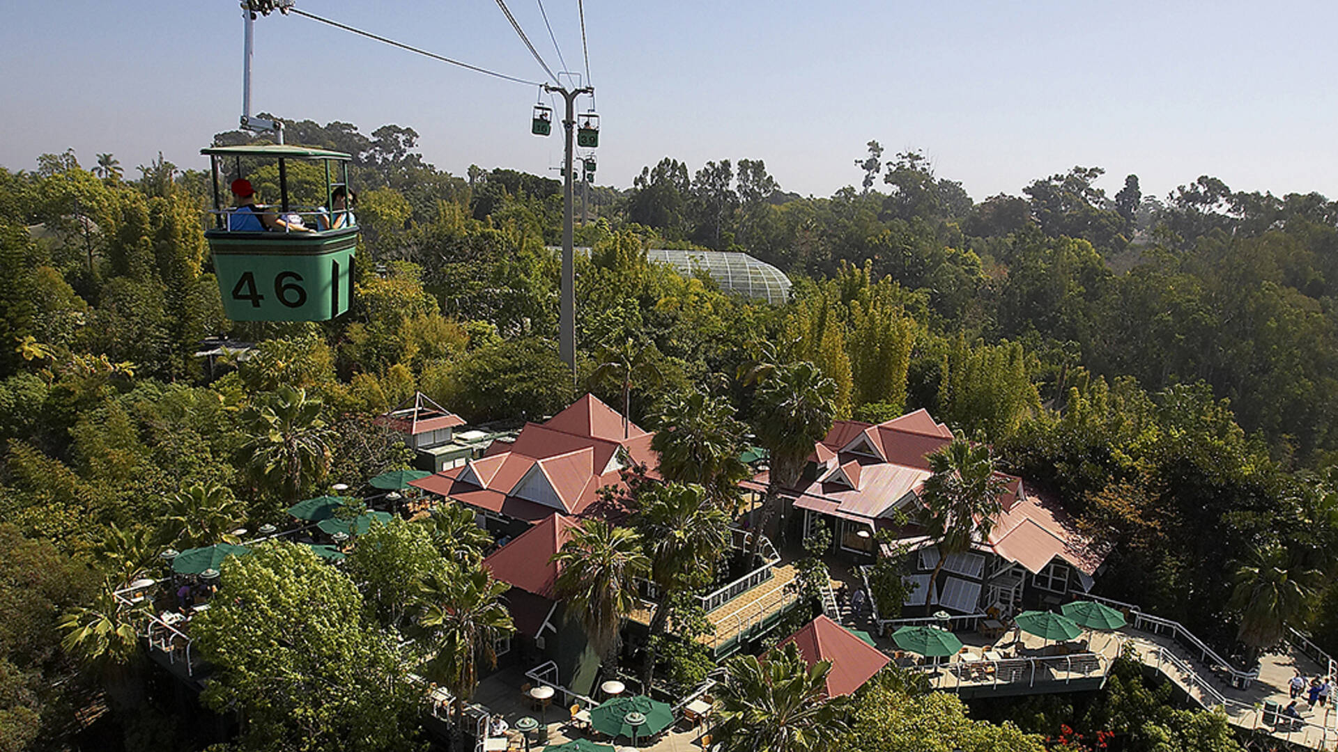San Diego Zoo | Attractions in Park Laurel, San Diego