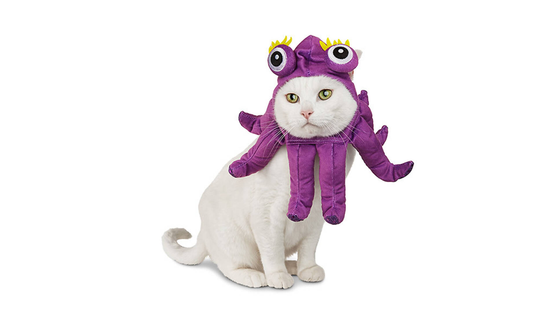 Best pet Halloween costumes and ideas for dogs and cats