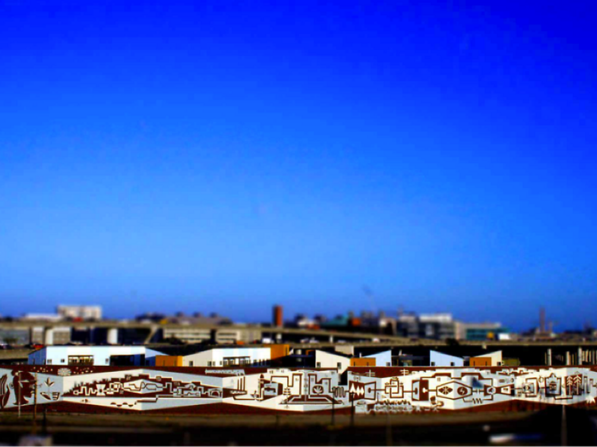 19 Best Street Art and Murals in San Francisco