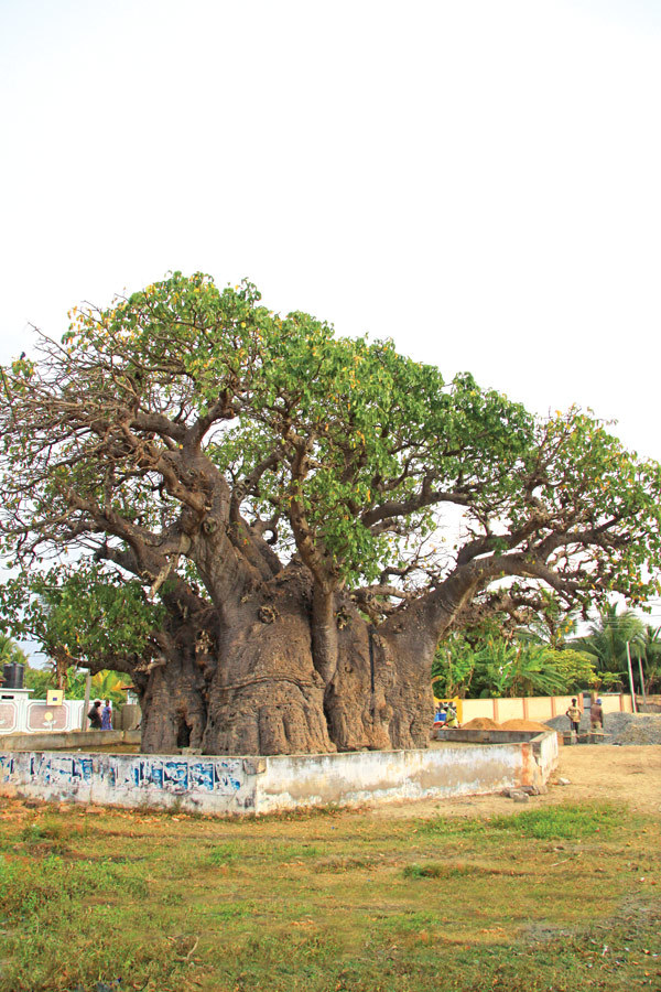 Explore Mannar on your travel to Sri Lanka