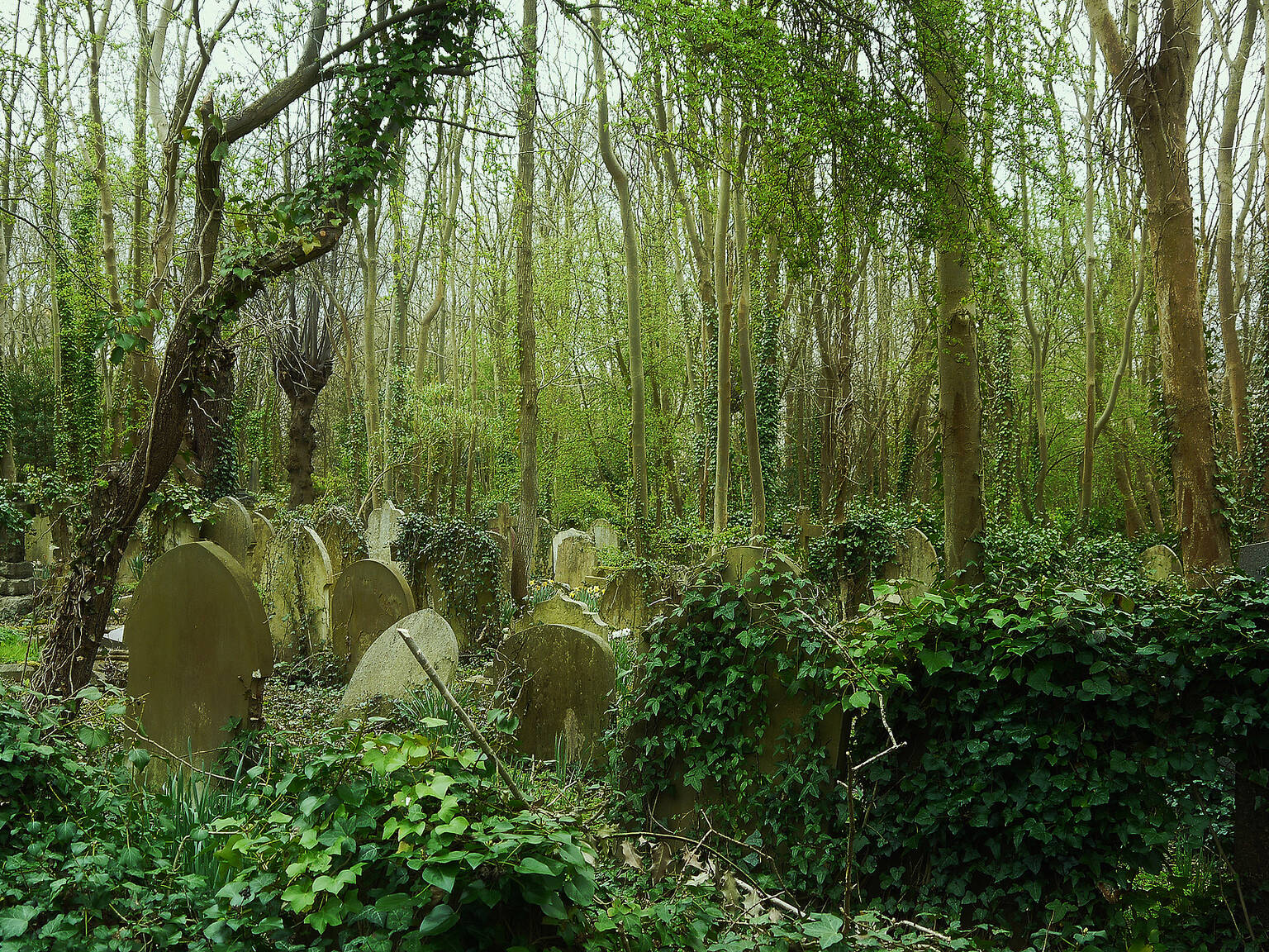 London's Magnificent Cemeteries | 10 Grand Graveyards You Should Visit