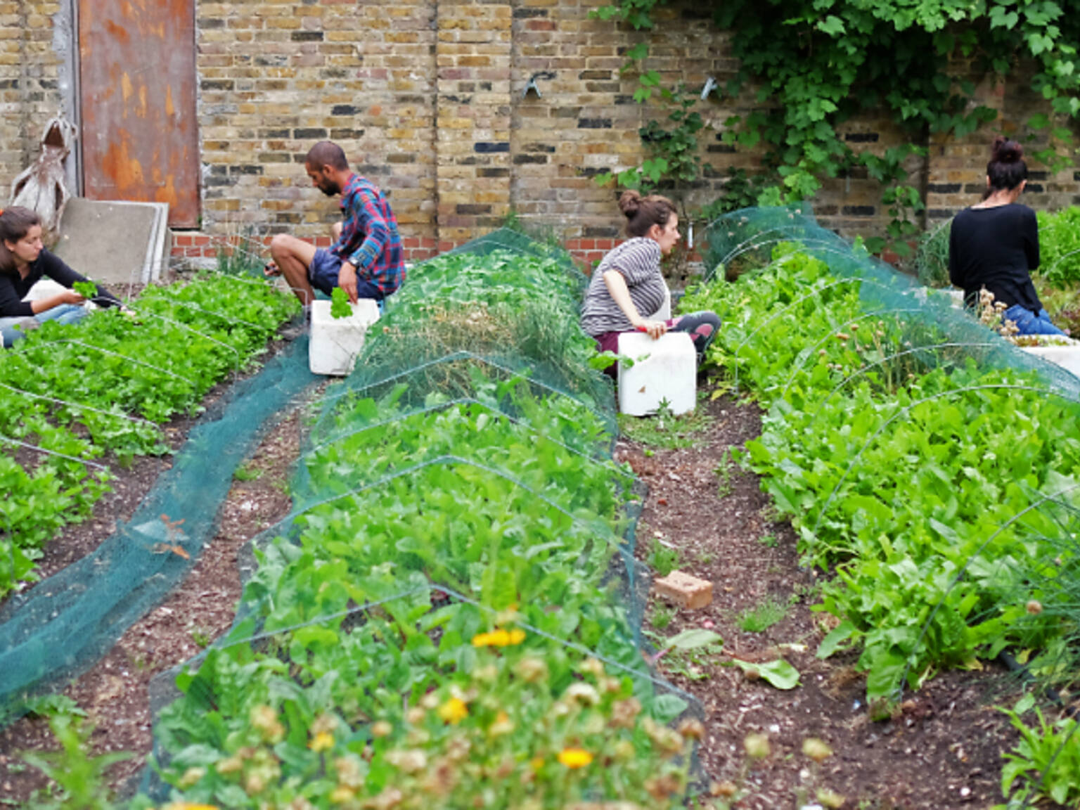 Best Farmers’ Markets in London | 17 Fab London Farmers' Markets