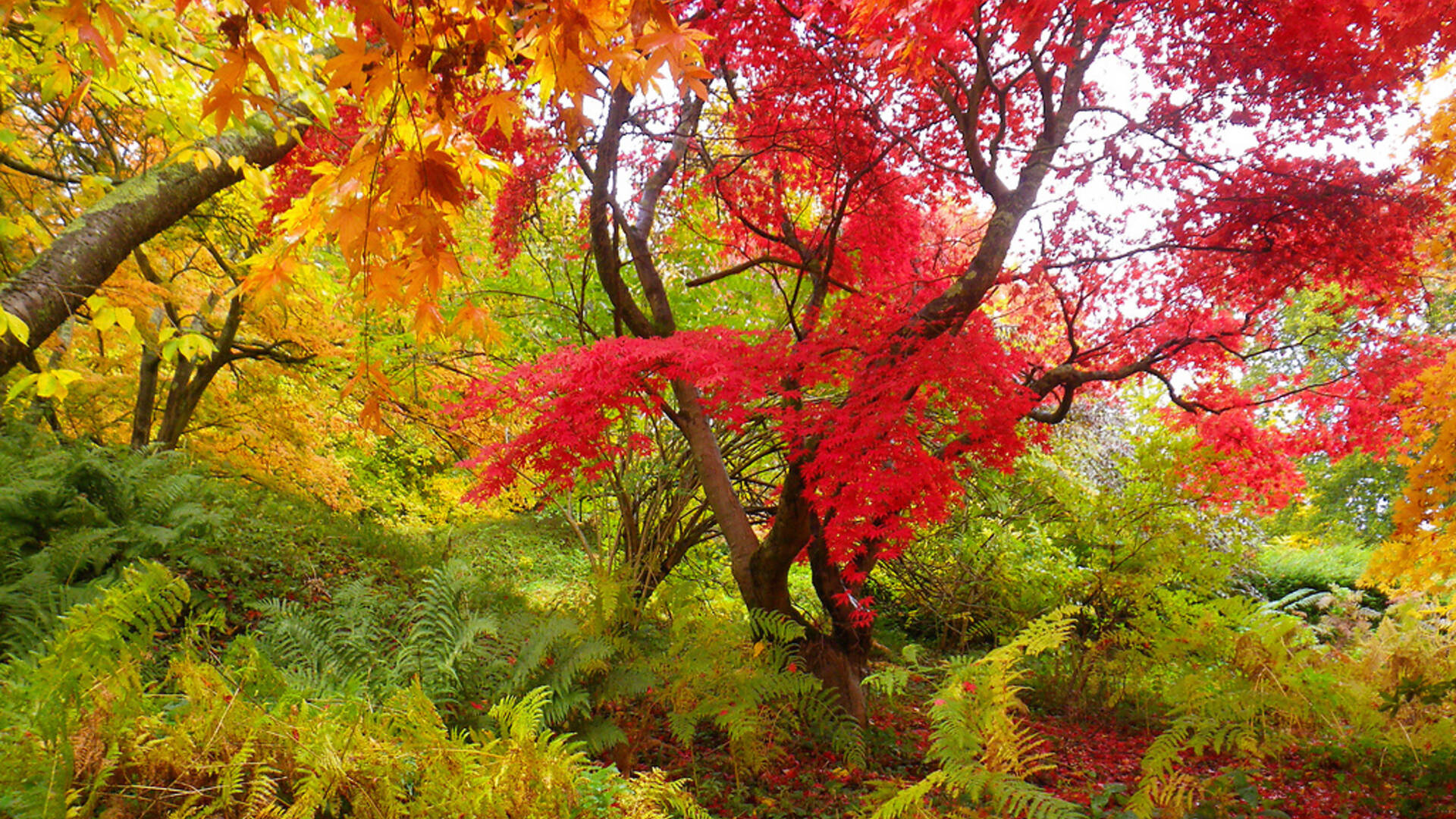 17 Amazing Autumn Day Trips From London | Autumnal Day Trips