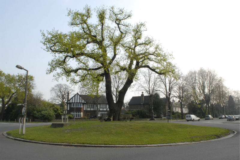 Sydenham area guide – Restaurants, pubs and things to do in SE6