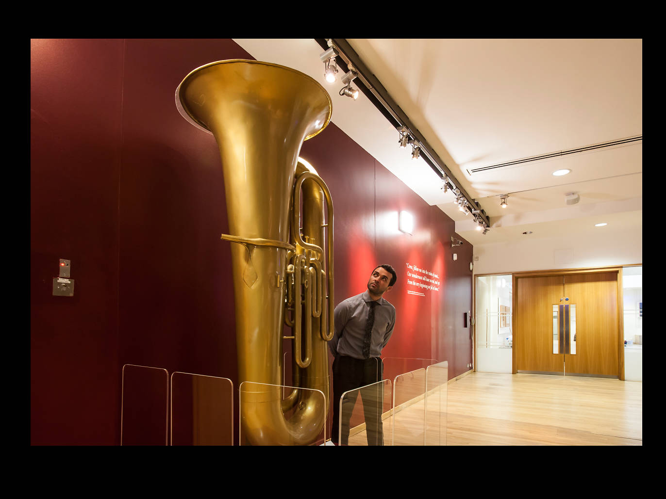 The seven wonders of the Horniman Museum - things to see at the ...