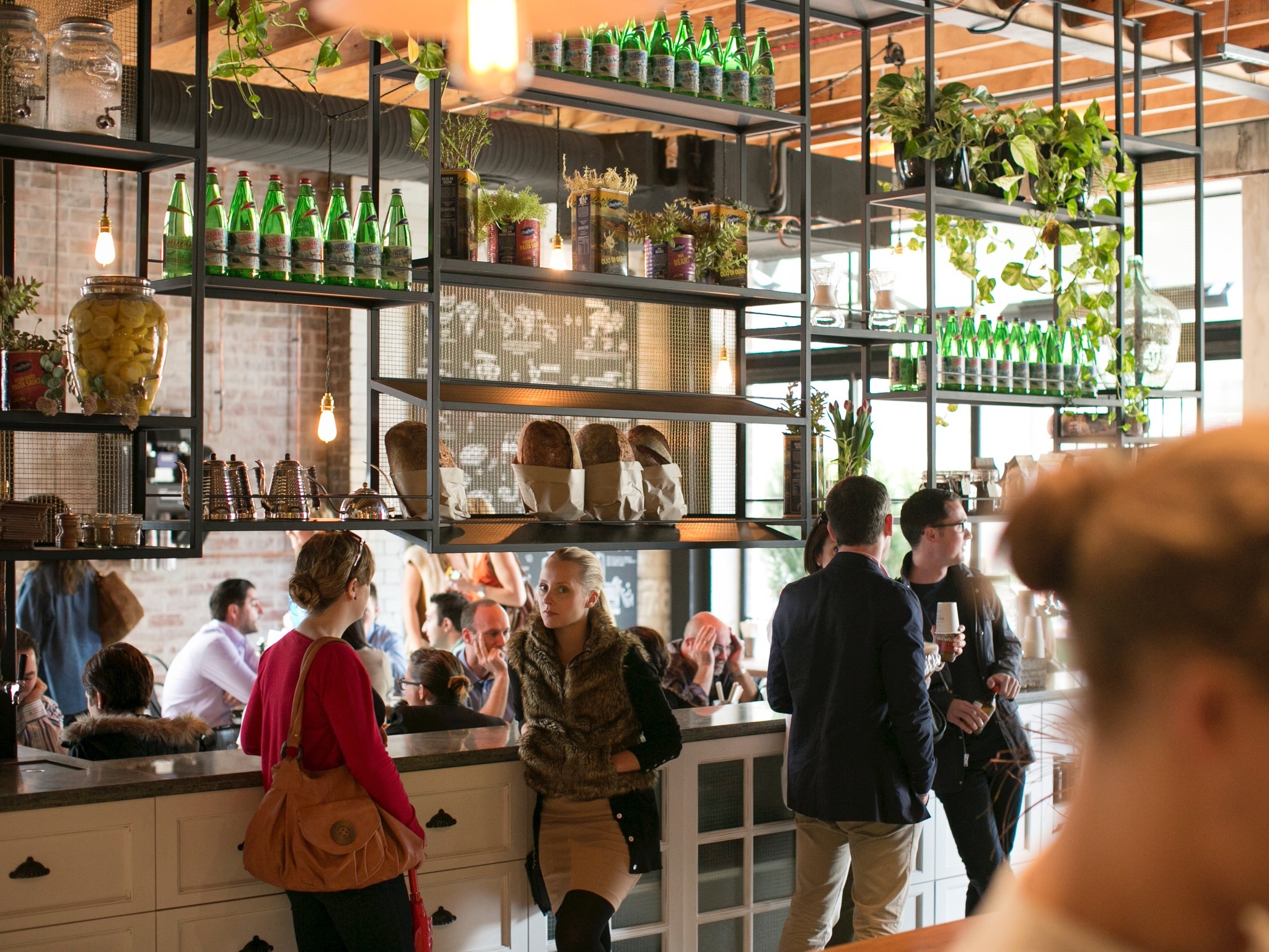 Alexandria Area Guide