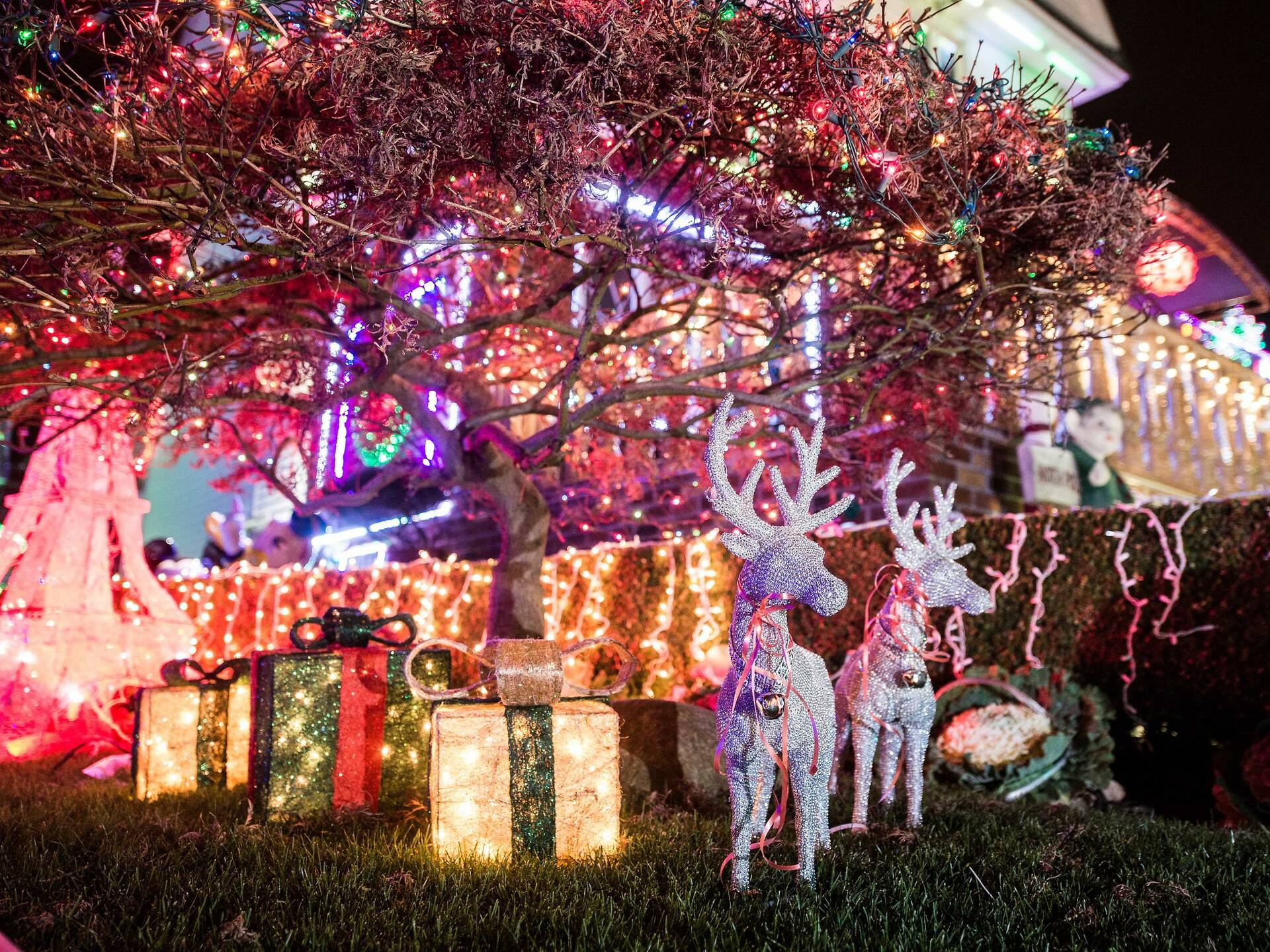 Photos of Christmas lights in America, from NYC to Los Angeles