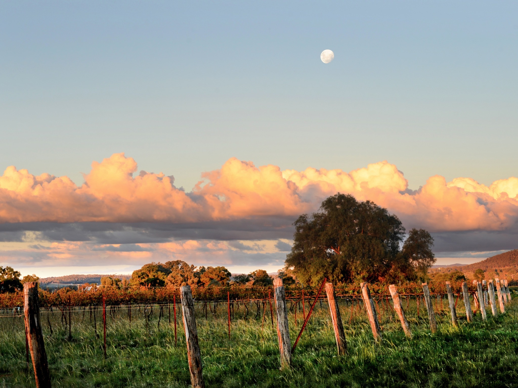 Around Mudgee | Travel in Sydney