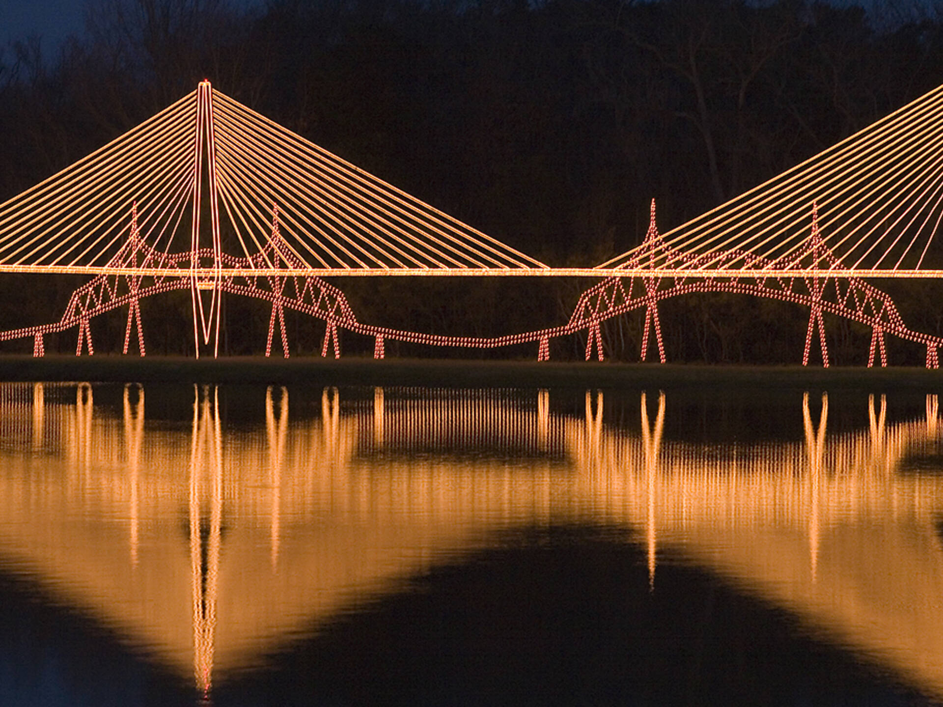 Photos of Christmas lights in America, from NYC to Los Angeles