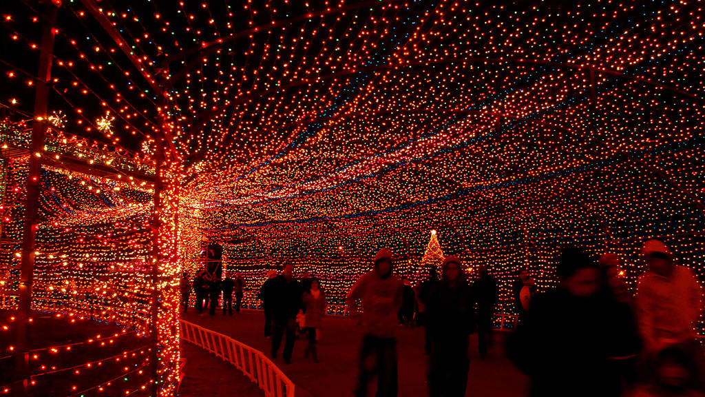 Photos of Christmas lights in America, from NYC to Los Angeles