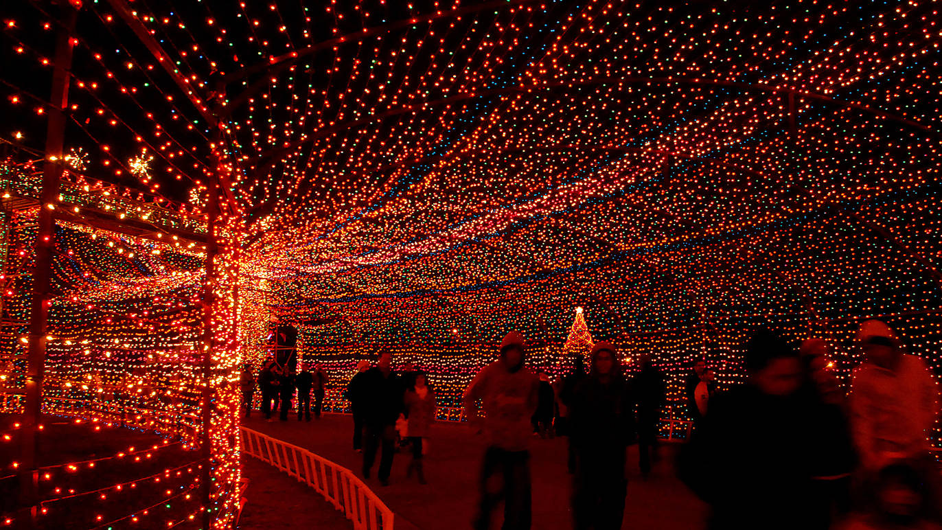 Photos of Christmas lights in America, from NYC to Los Angeles