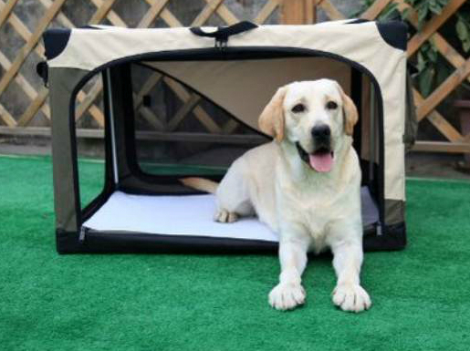 Mascotas en sus casas