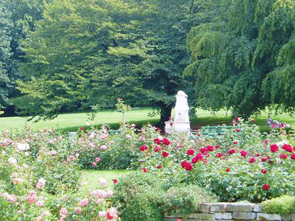 Ten tips for moving to Geneva — expat Geneva — Time Out Switzerland