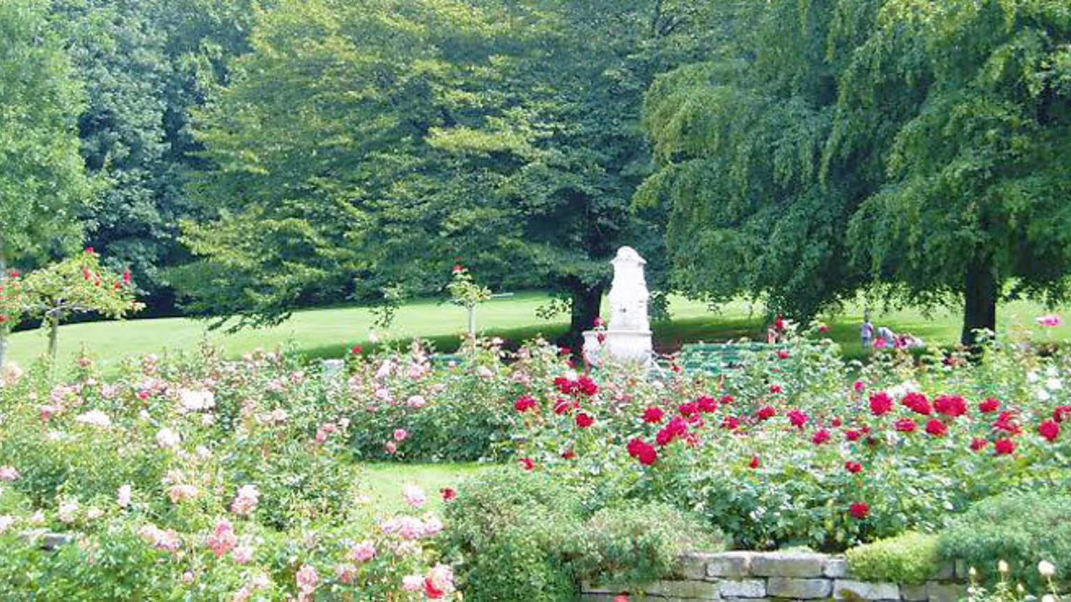 Ten tips for moving to Geneva — expat Geneva — Time Out Switzerland