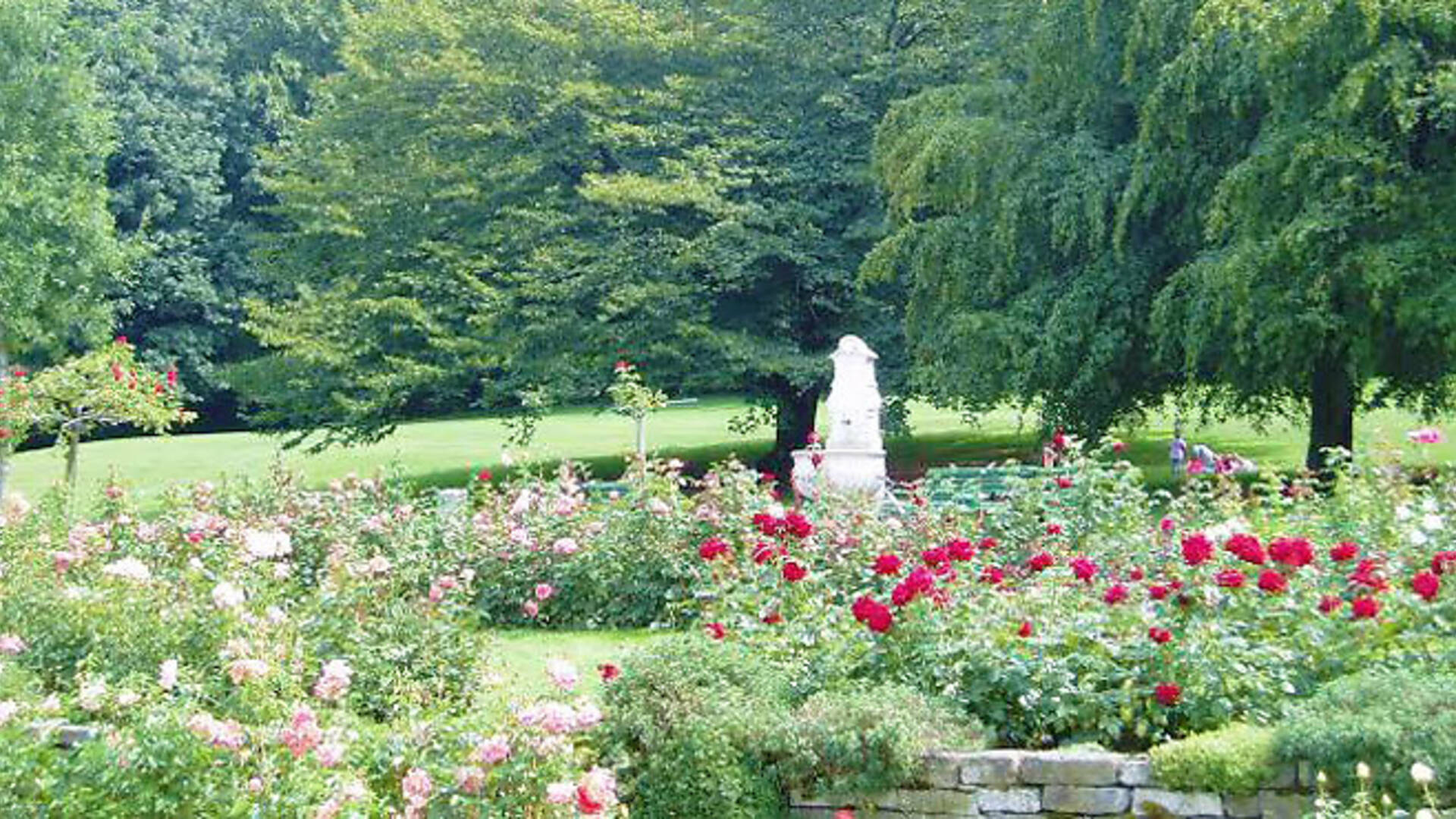 Ten tips for moving to Geneva — expat Geneva — Time Out Switzerland