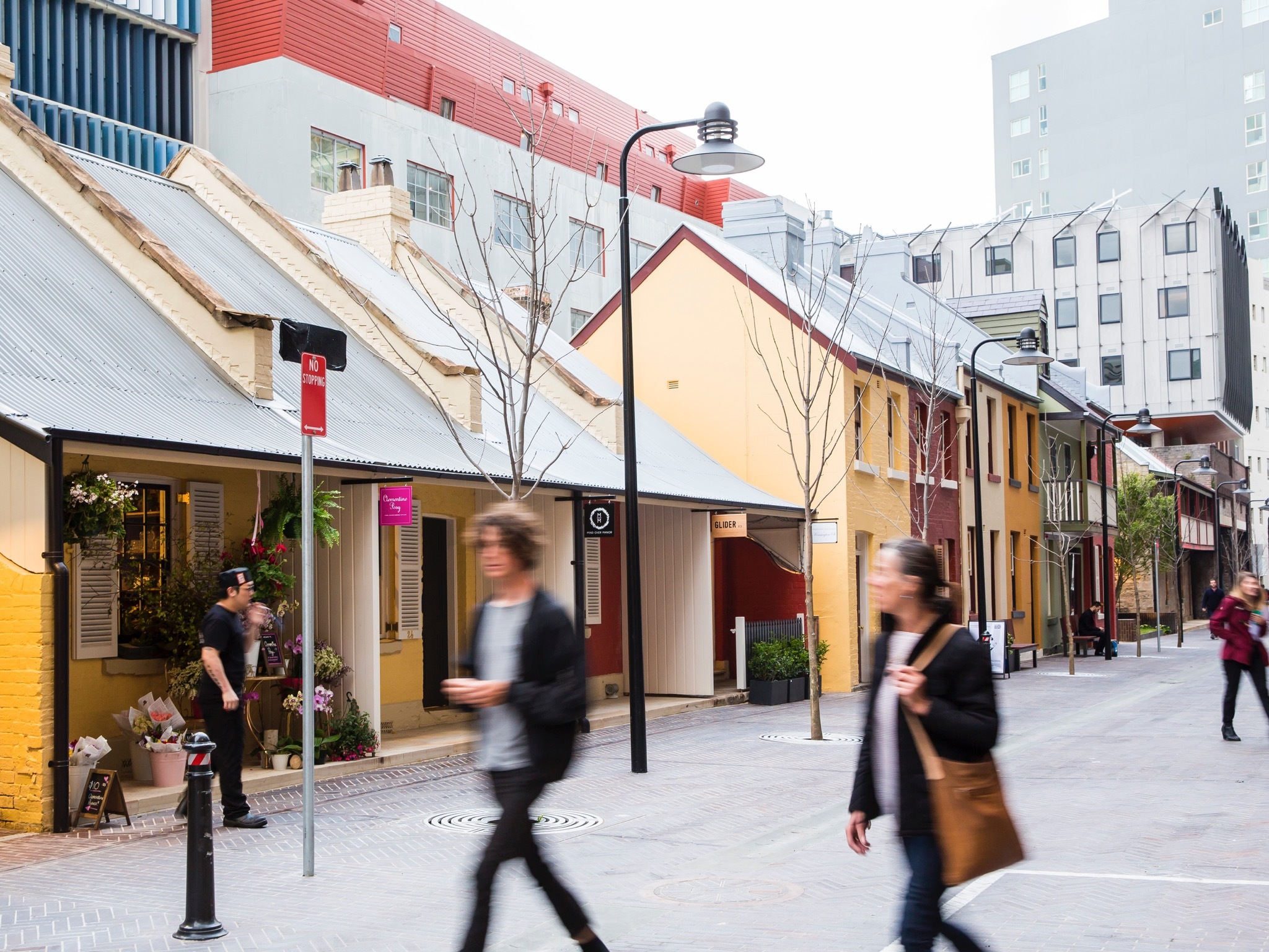 Chippendale Area Guide